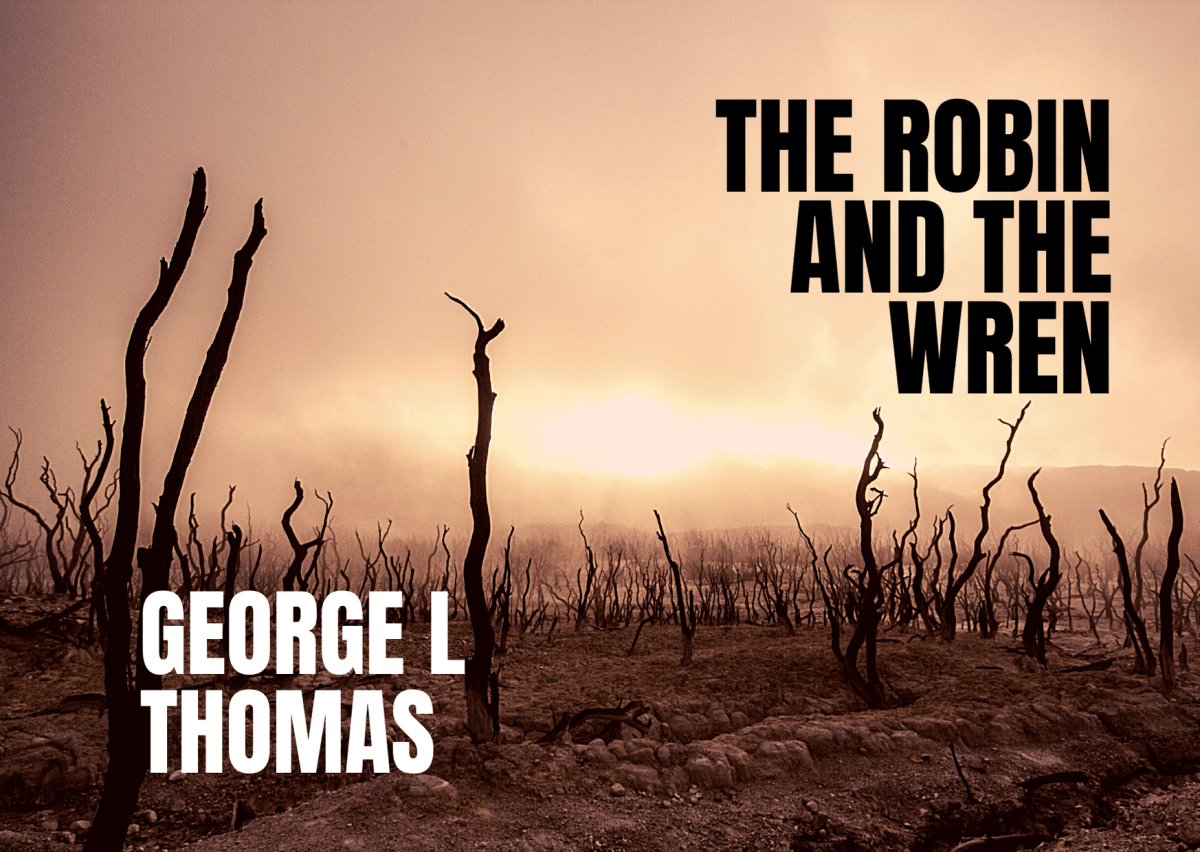 The Robin and the Wren – GEORGE L THOMAS