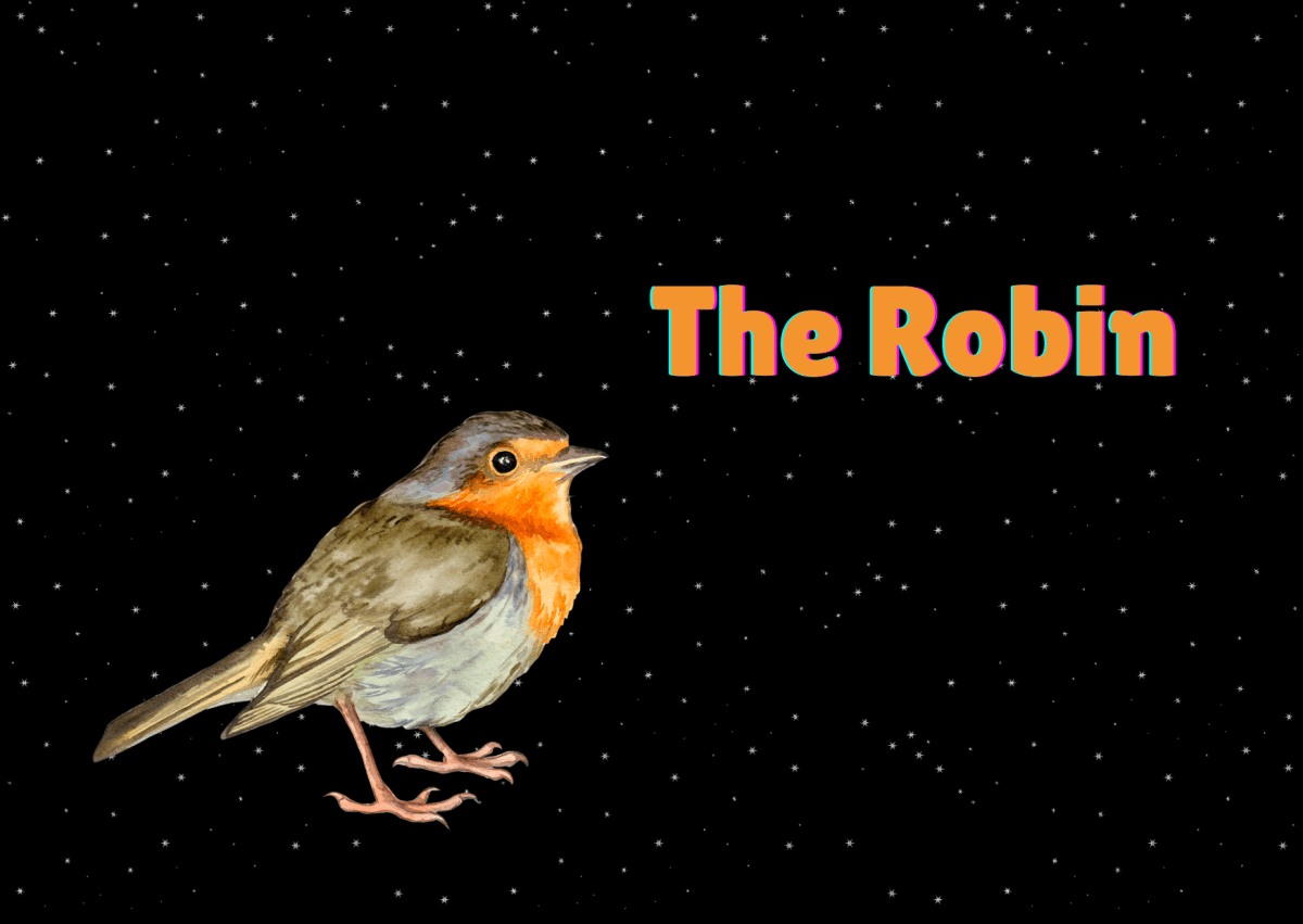 The Robin – GEORGE L THOMAS